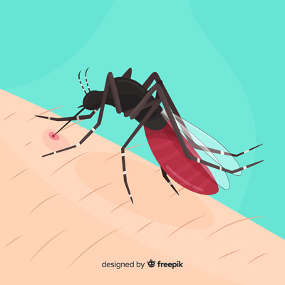 Dengue (knokkelkoorts) en behandelopties - natuurdietisten.nl